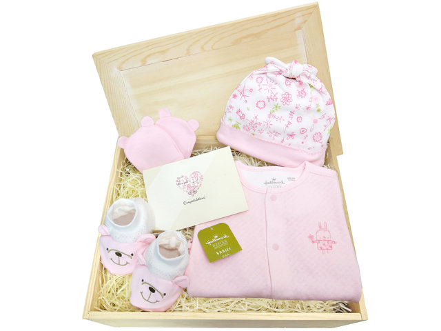 New Born Baby Gift - Baby Hampers 3A5 - BY0413A5 - Give Gift Boutique ...