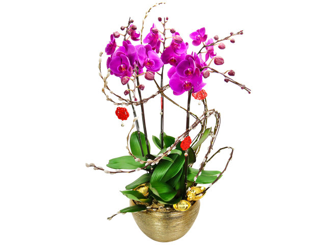 2021 Hong Kong Chinese New Year CNY Flower and Plant Delivery