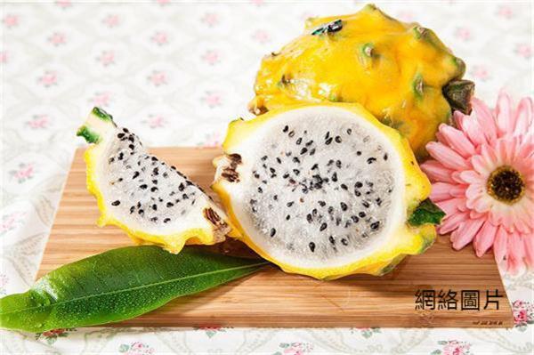About Kirin Fruit, How Much Do You Know - Give Gift Boutique Flower Shop